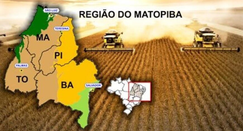 Relatório mostra que o matopiba sofrerá o maior impacto com a lei da EUDR