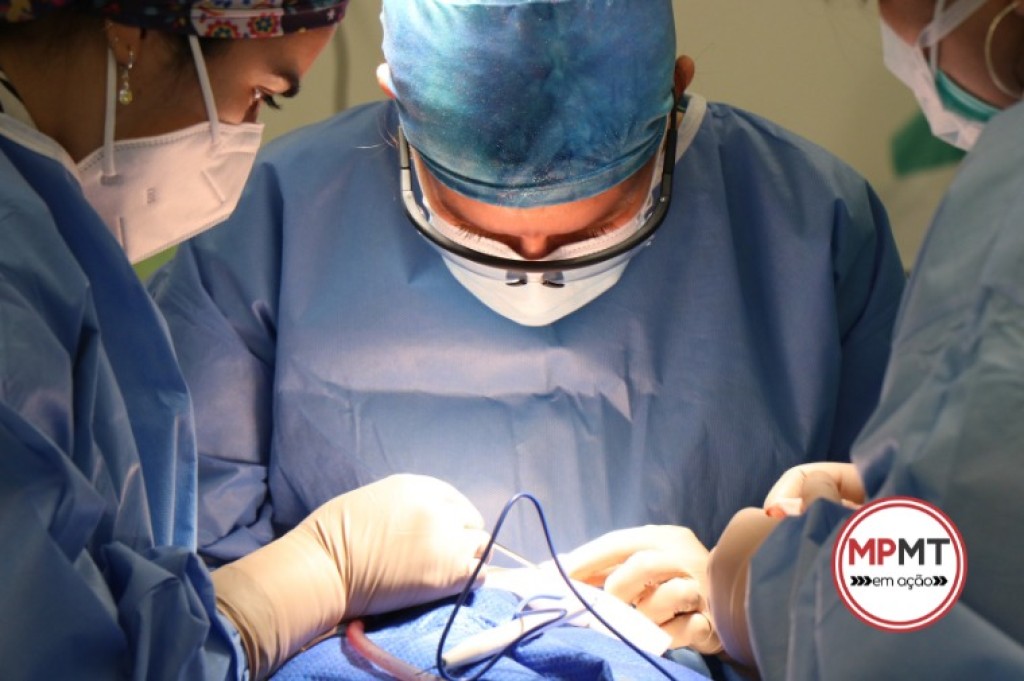 Nos três primeiros meses de defeso da piracema foram apreendidos 137 ...